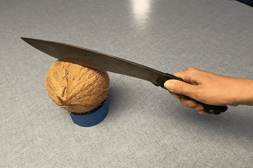 Philippine Bolos and Spanish Bolo Bayonets – Heloderm LLC